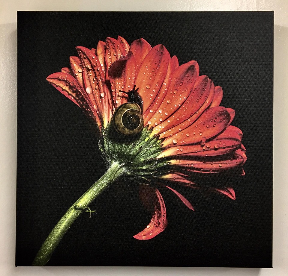 JEANINE PHILIPPE | Mountainside Gallery